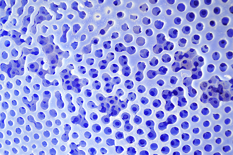 MAN-MADE NATURE – studio Karlijn Sibbel